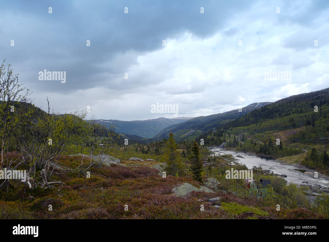 Spring tundra landscape in Hardangervidda national park, Norway Stock ...