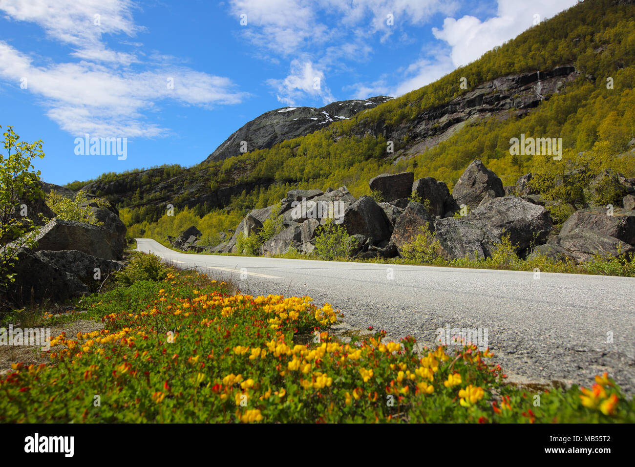 Picturesque spring Norway landscape with asphalt road and flowers Stock ...