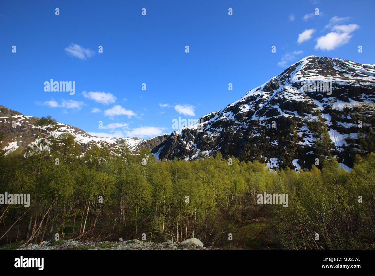 Spring Norway landscape with mountains and forest Stock Photo - Alamy