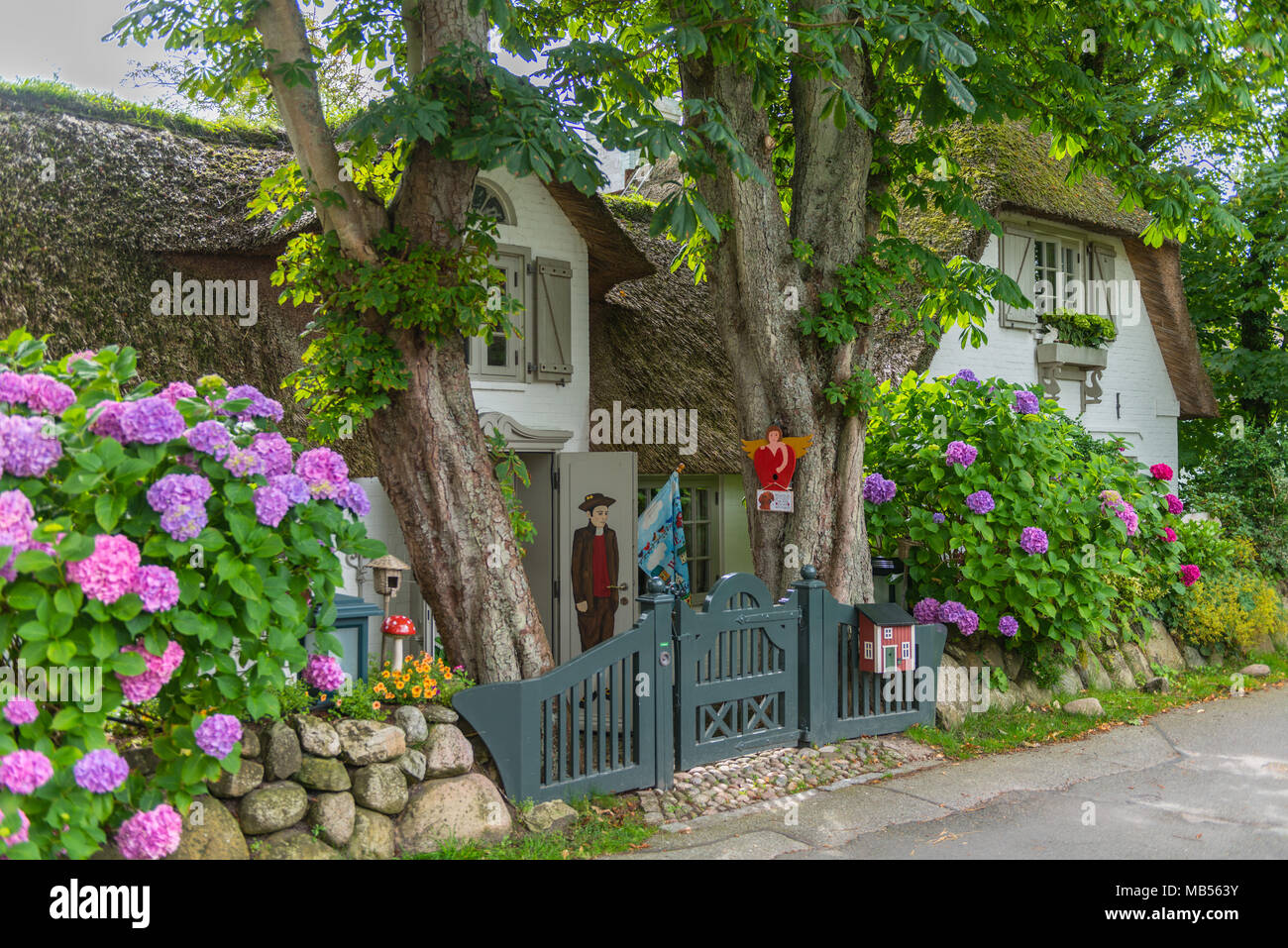Traditional Frisian house with thatched roof, Keitum, North Sea island ...