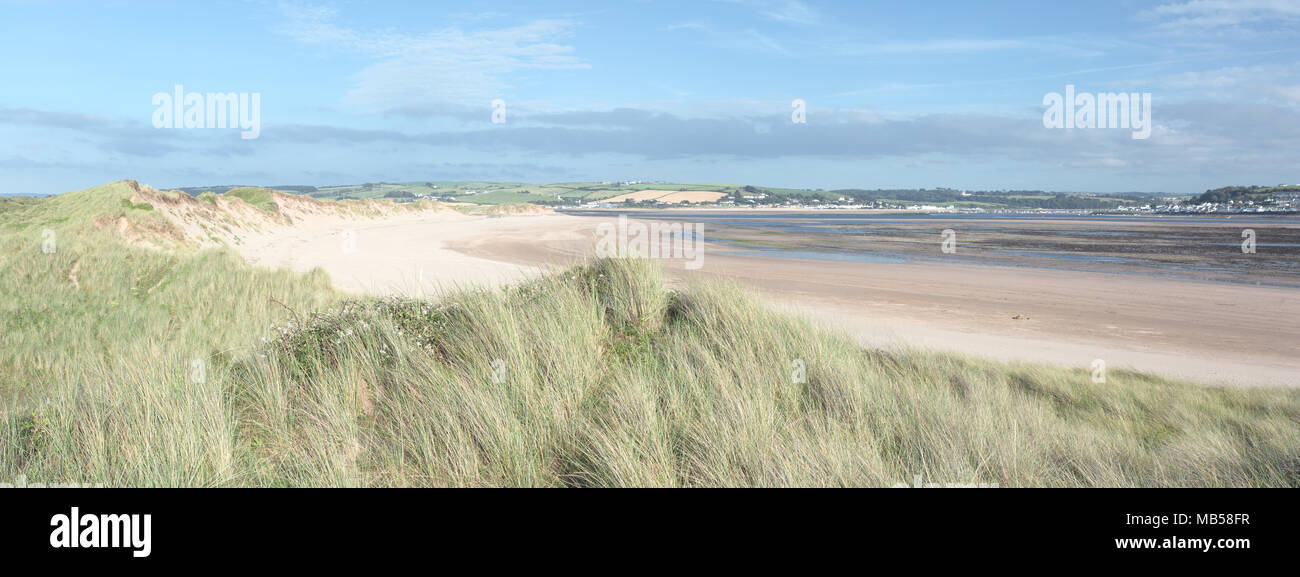 Sand dunes in summer, Crow Point Devon UK Stock Photo - Alamy