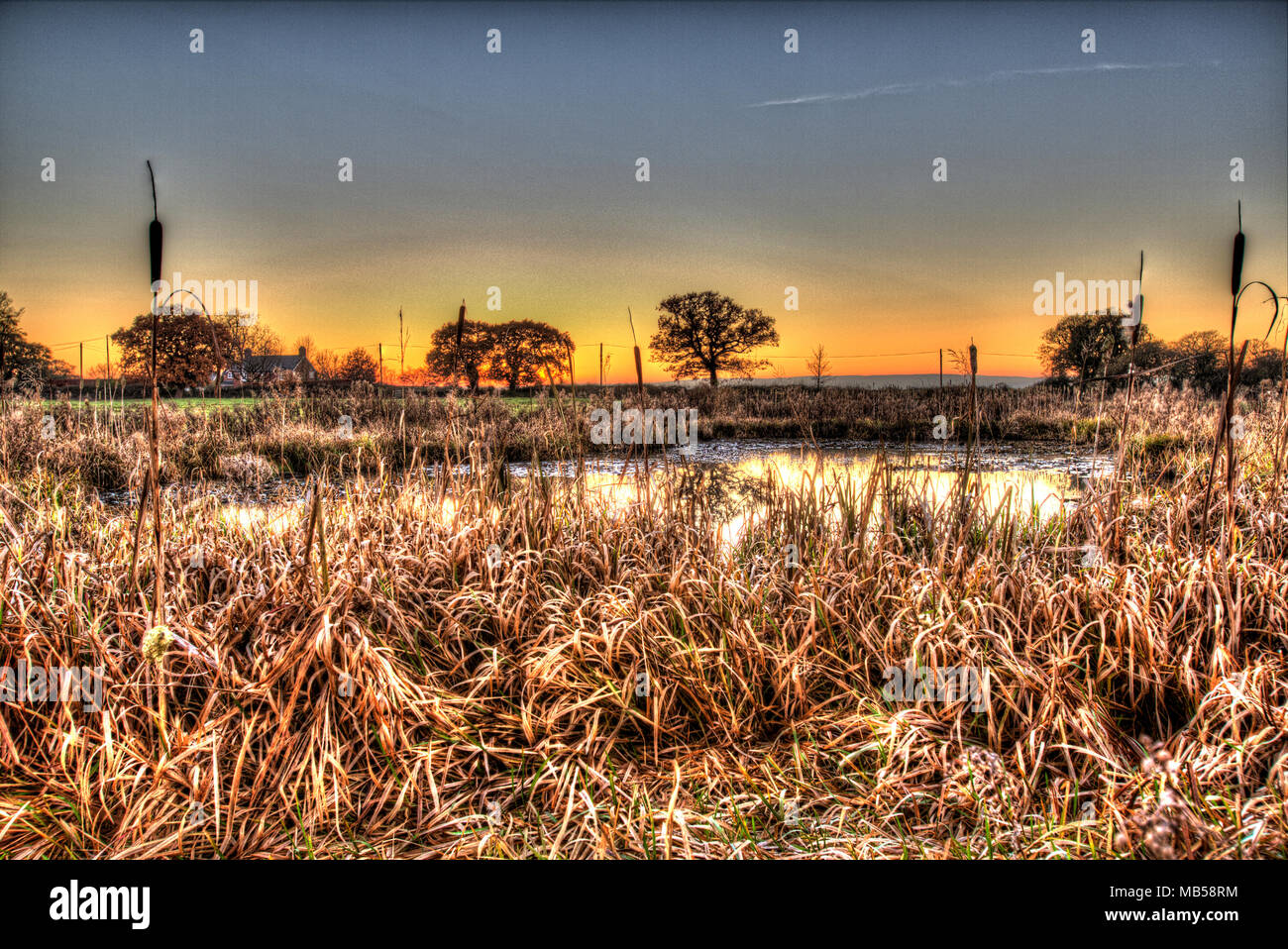 Rural farm pond sunset hi-res stock photography and images - Alamy