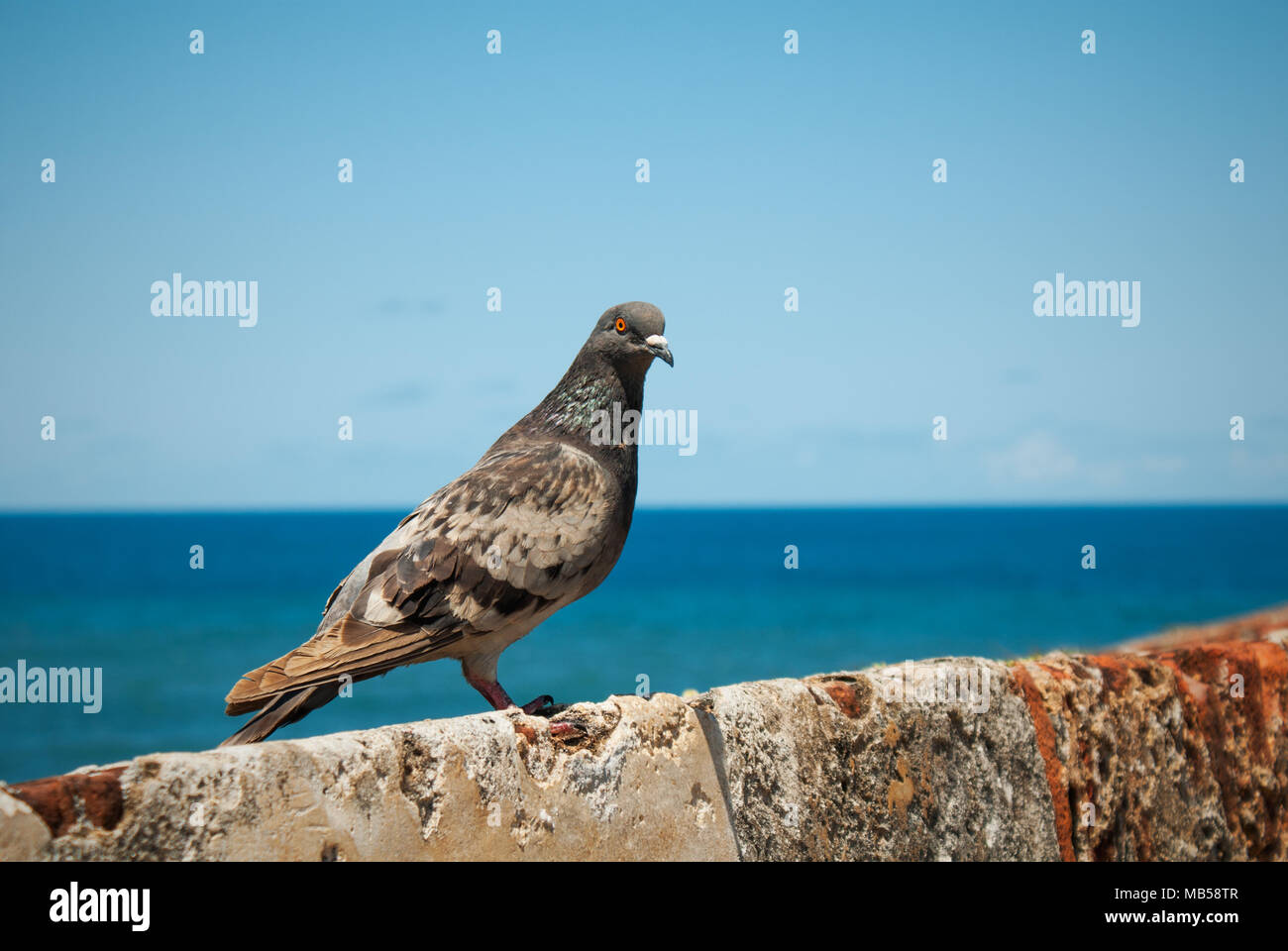 Facing Sideways High Resolution Stock Photography and Images - Alamy