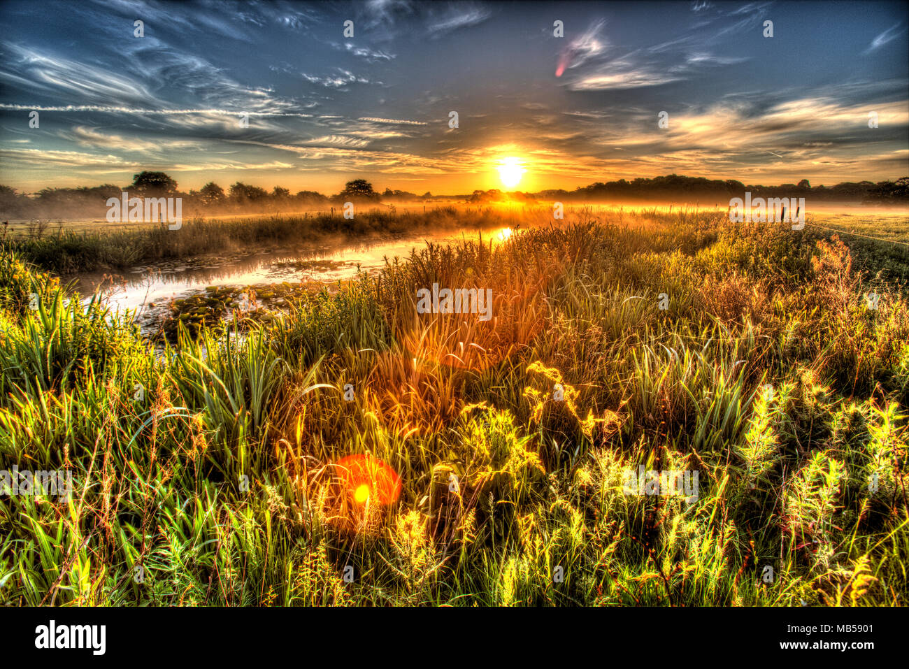 Freshwater pond hi-res stock photography and images - Alamy