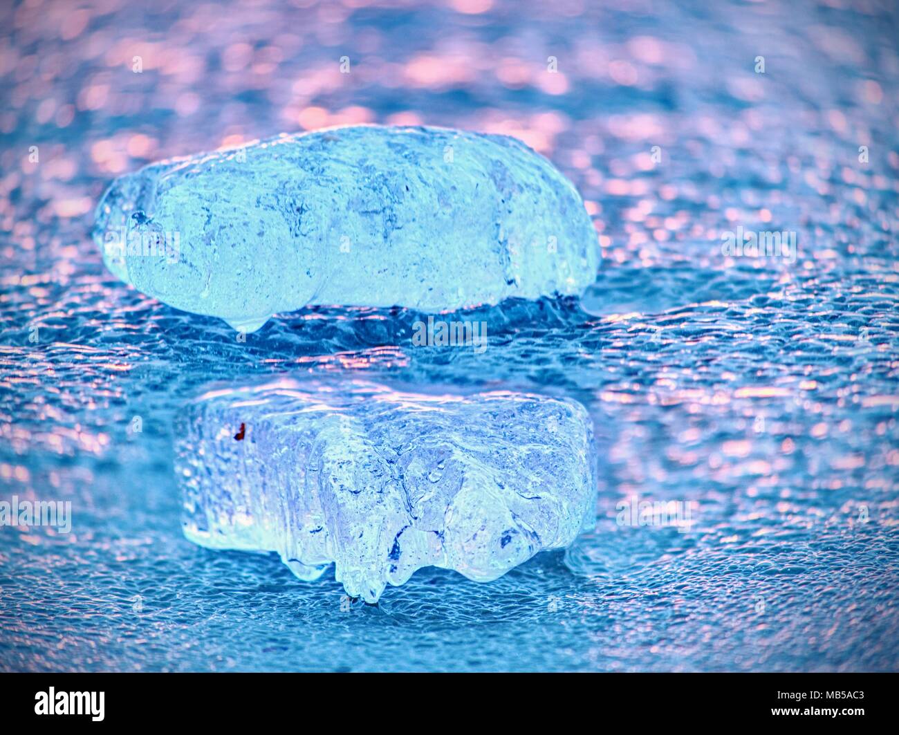 Shiny cold ice pieces on clear ice floe. Structure of natural ice in ...