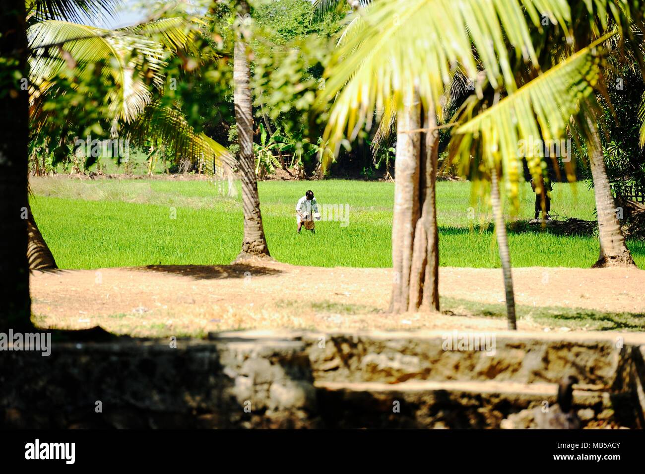 Boat canal in cochin hi-res stock photography and images - Alamy