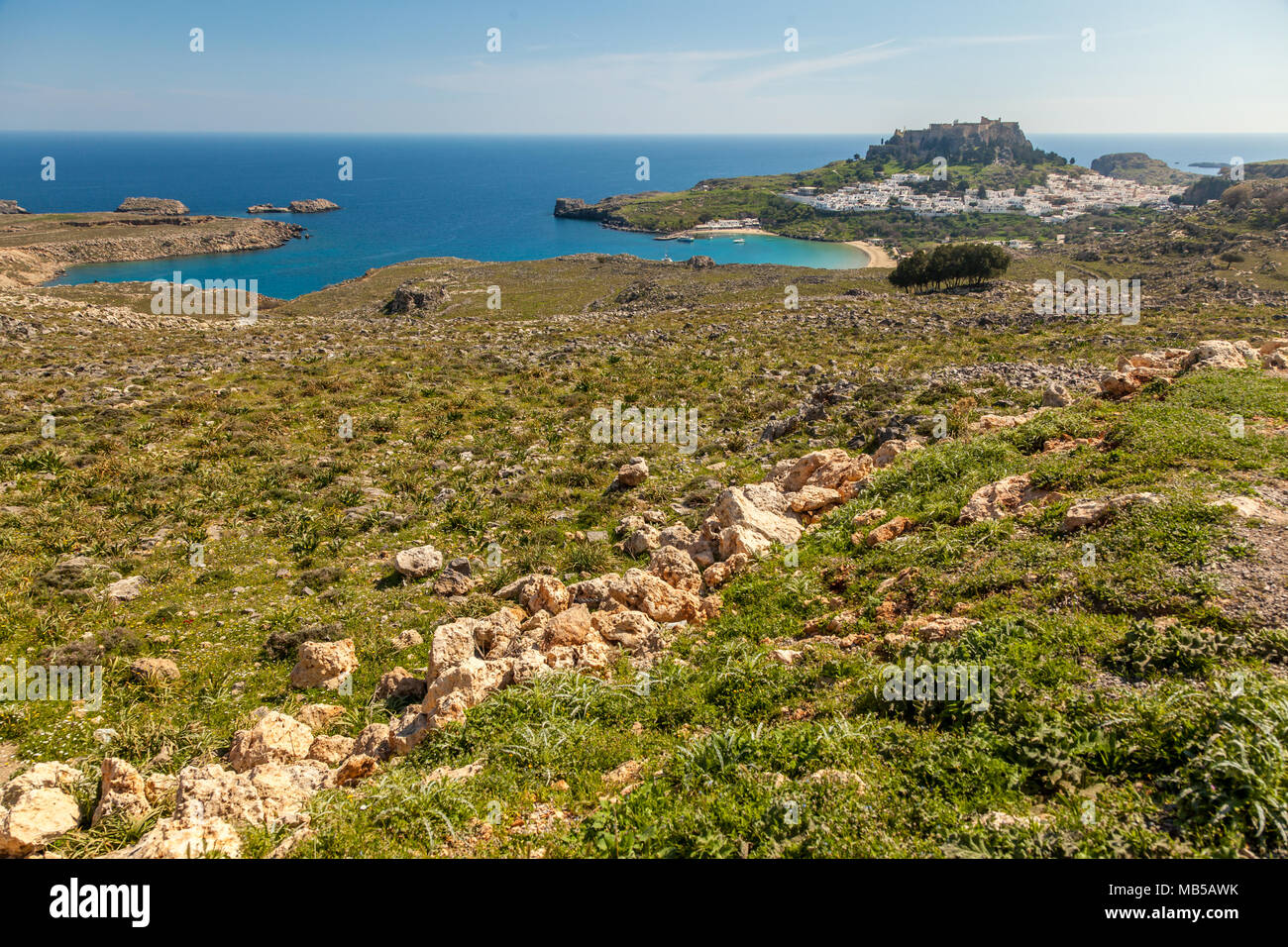 Green grass field foreground hi-res stock photography and images - Alamy