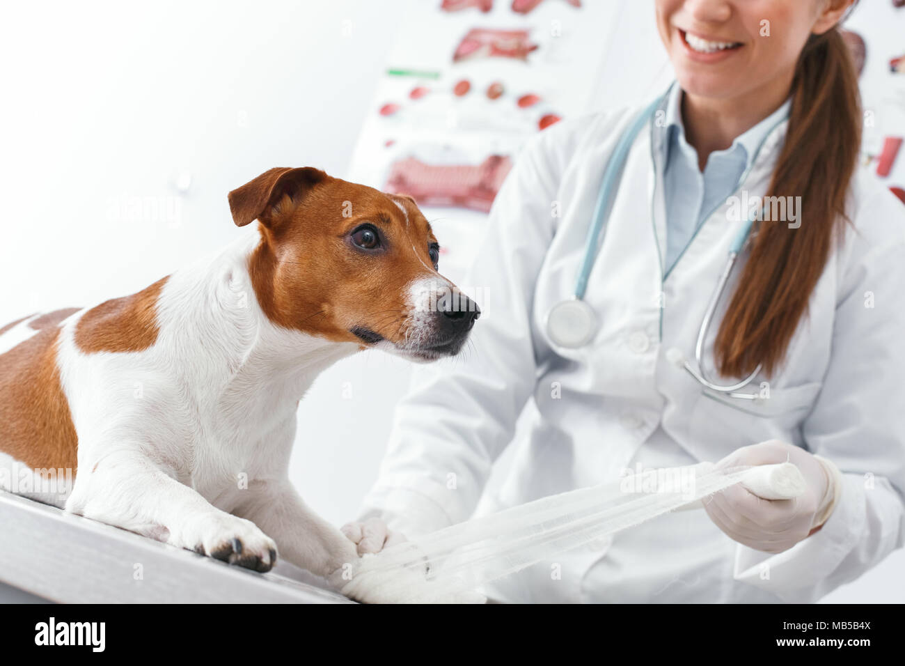 Woman nursing puppy hi-res stock photography and images - Alamy