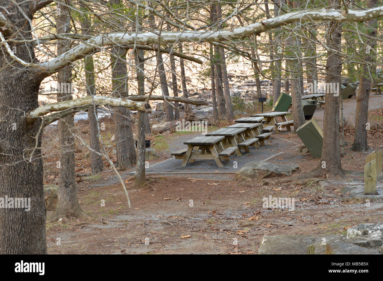The picnic tables in the woods Stock Photo - Alamy