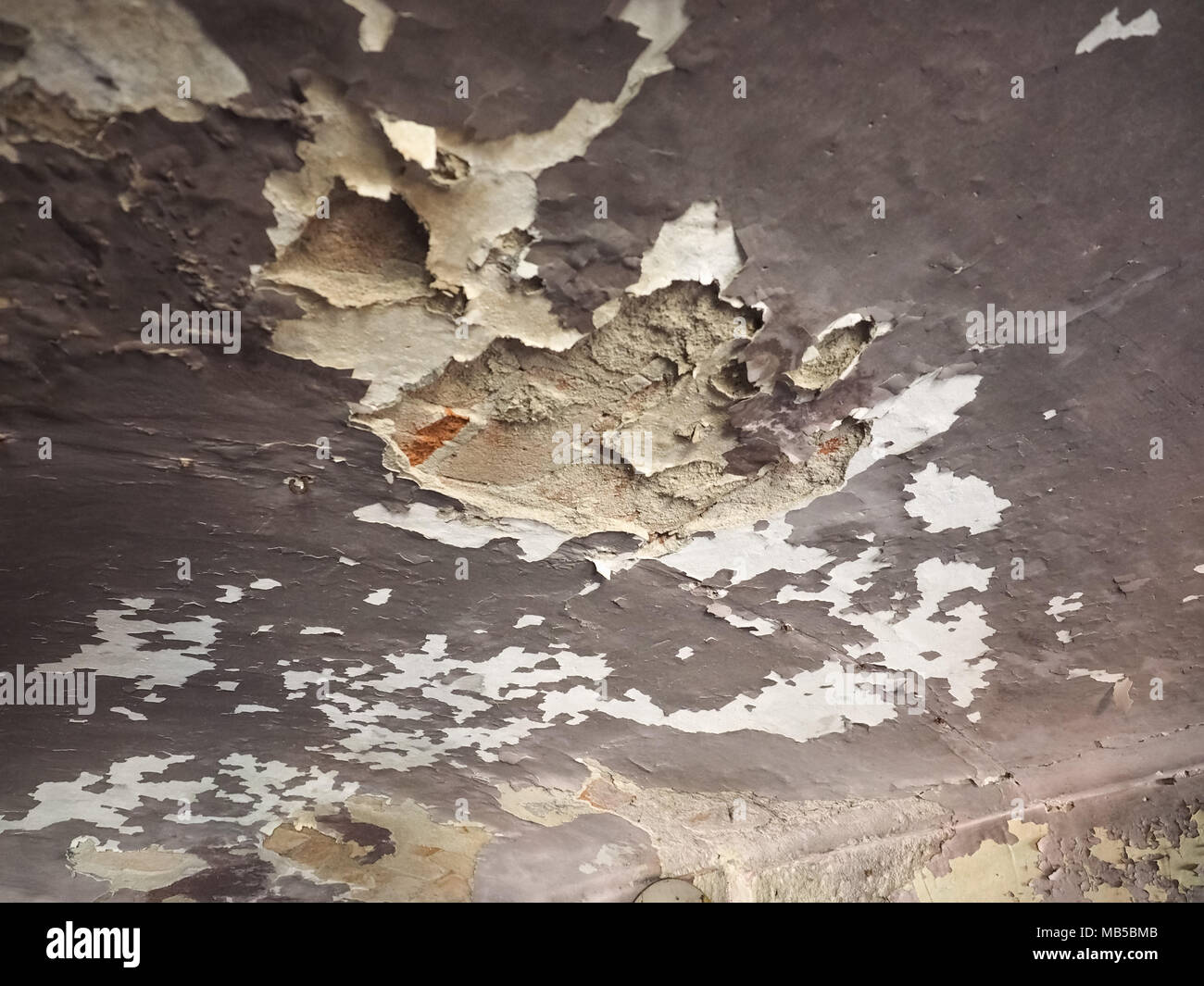 damage caused by damp moisture and water infiltrations on wall and ...