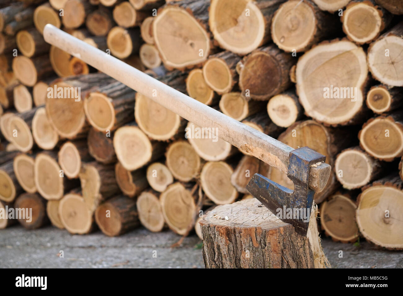 Axe in wood Stock Photo - Alamy