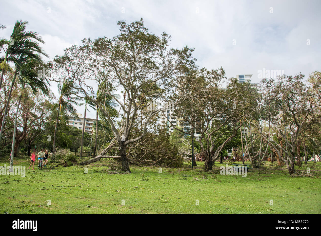Darwin,NT,Australia-March 17,2018: People walking and cycling through ...