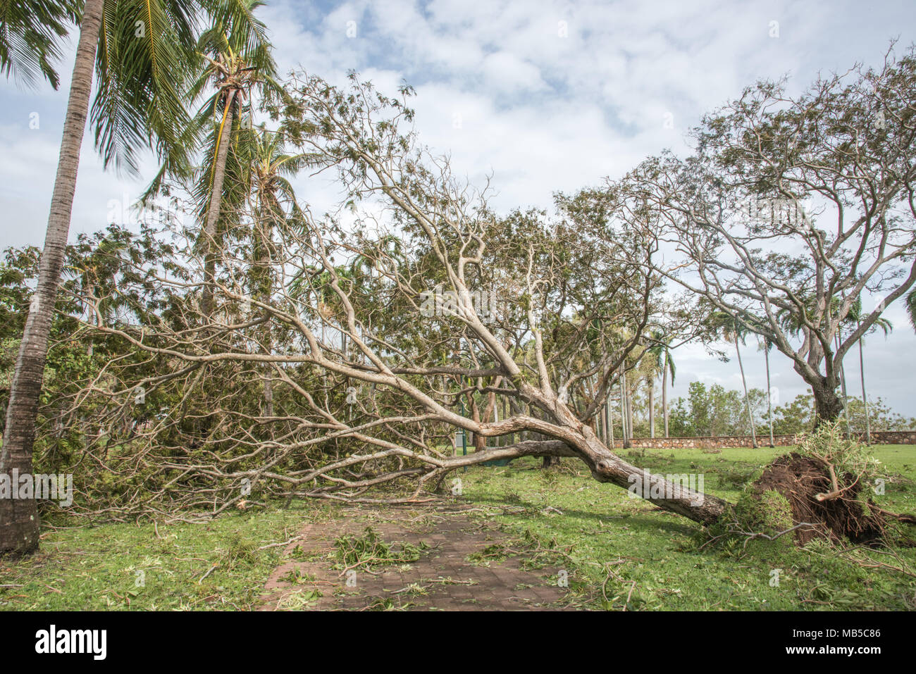Darwin,NT,Australia-March 17,2018: Cyclone Marcus damage by path at ...