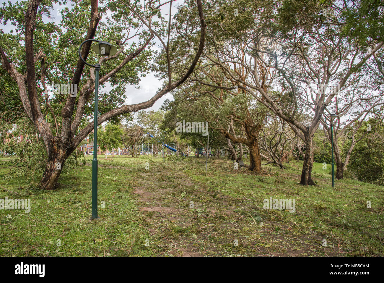 Hurricane damage perspective hi-res stock photography and images - Alamy