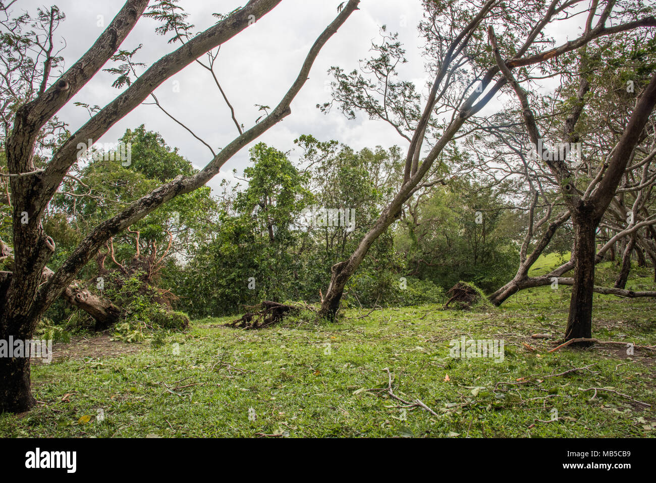 Destruction of darwin hi-res stock photography and images - Alamy