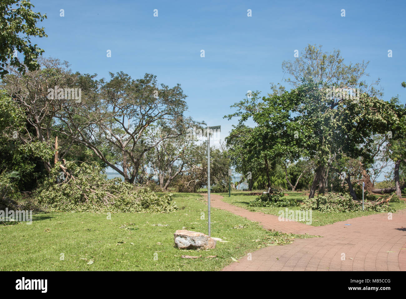 Cyclone Marcus tree damage at Bicentennial Park in Darwin, Australia ...