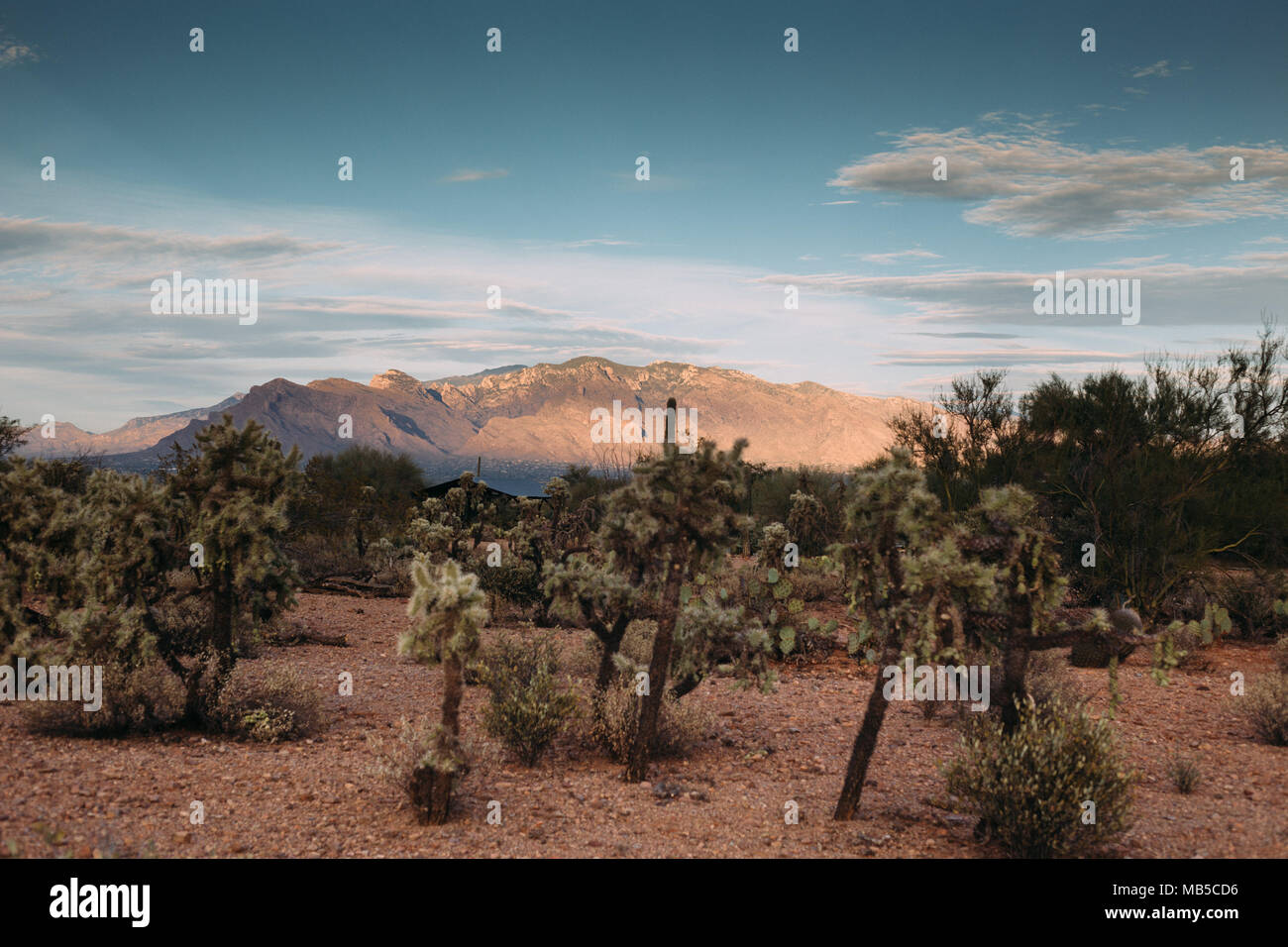 Beautiful Desert Sunset Tucson Stock Photo - Alamy