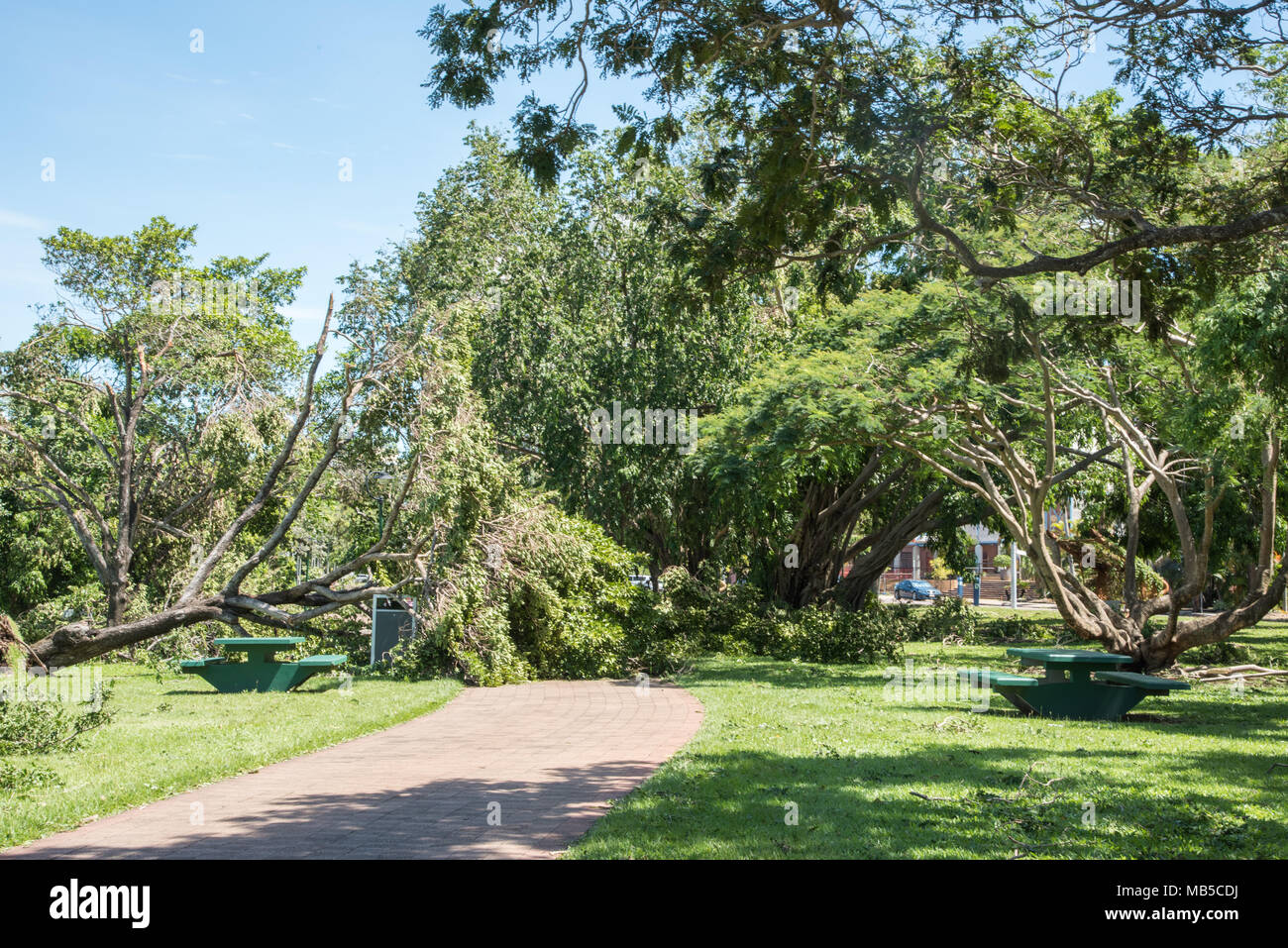 Park devastation after Cyclone Marcus hit in March 2018 in Darwin ...