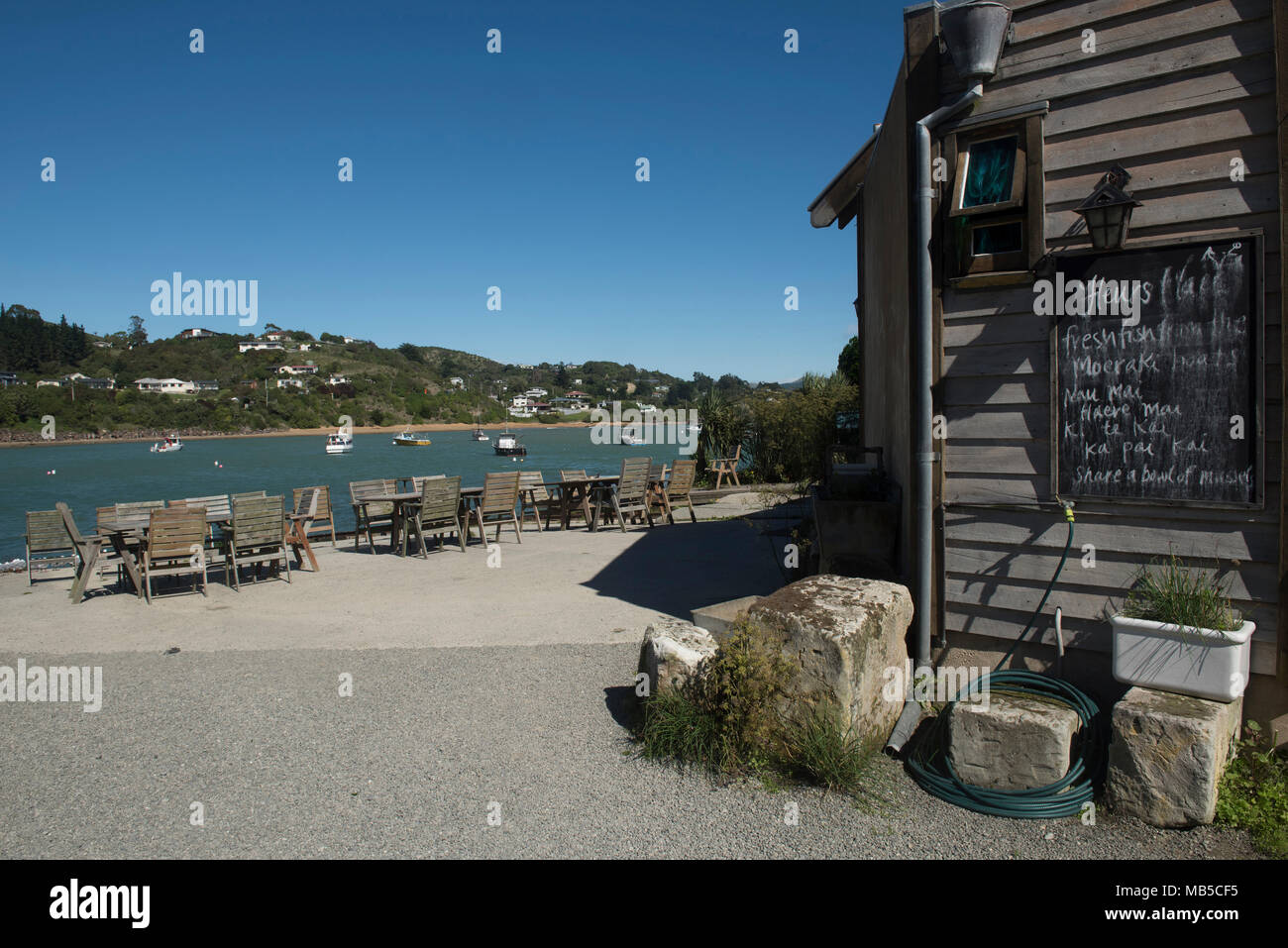 Seafood moeraki south island hi-res stock photography and images - Alamy