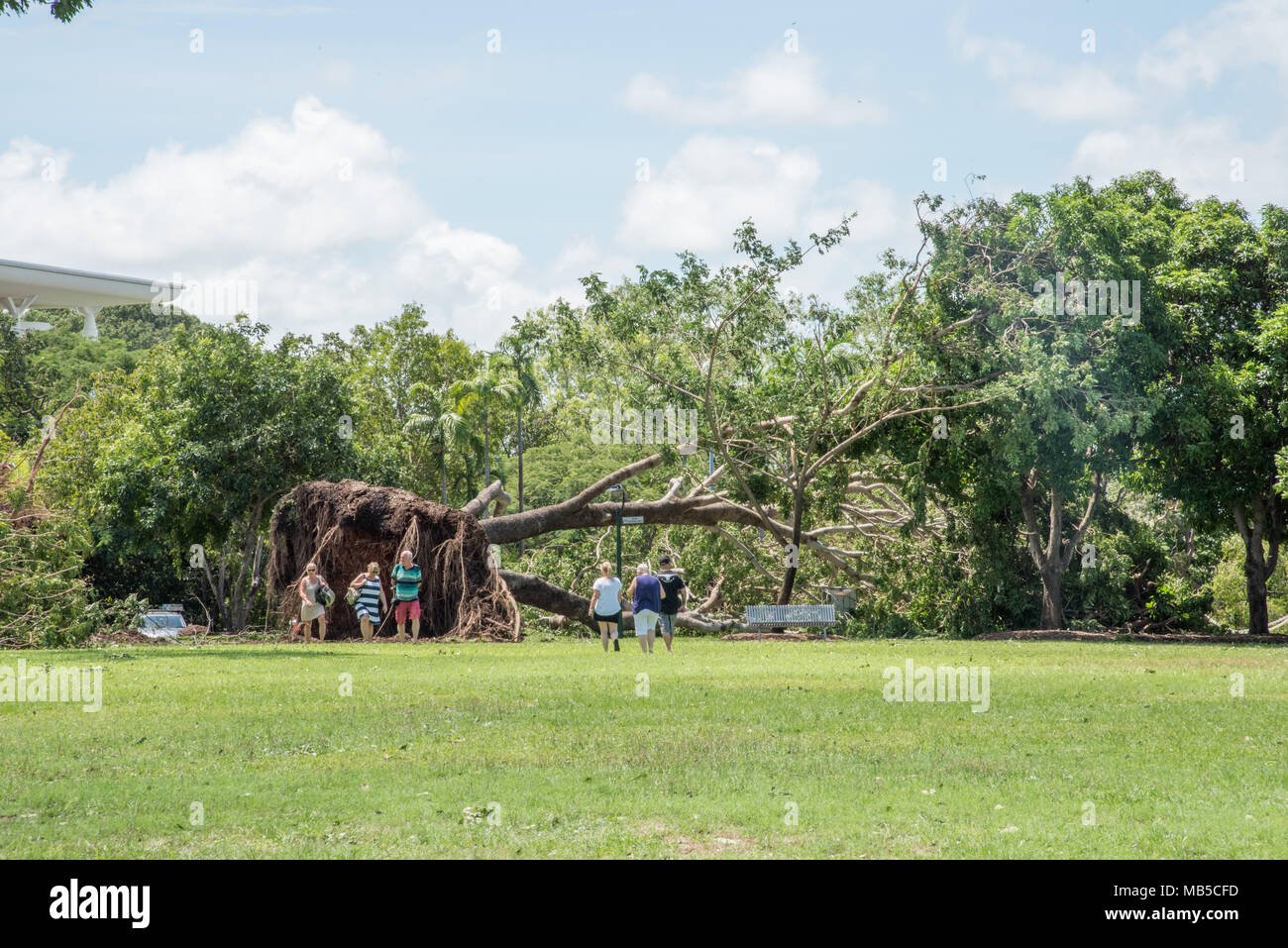 DARWIN,NT,AUSTRALIA-MARCH 18,2018: Cyclone damage with large uprooted ...
