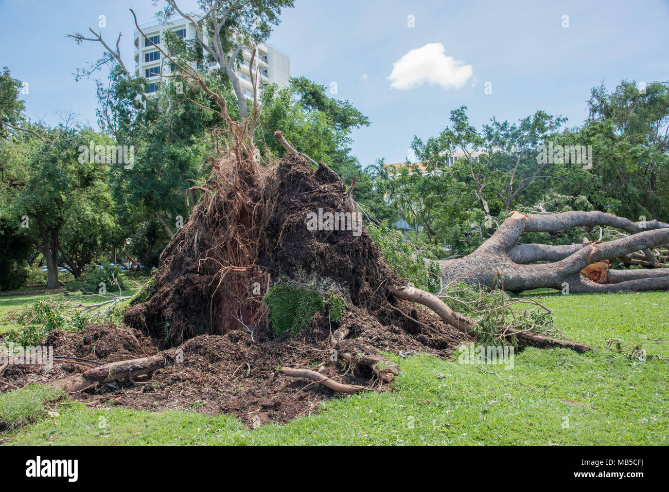Destruction of darwin hi-res stock photography and images - Alamy