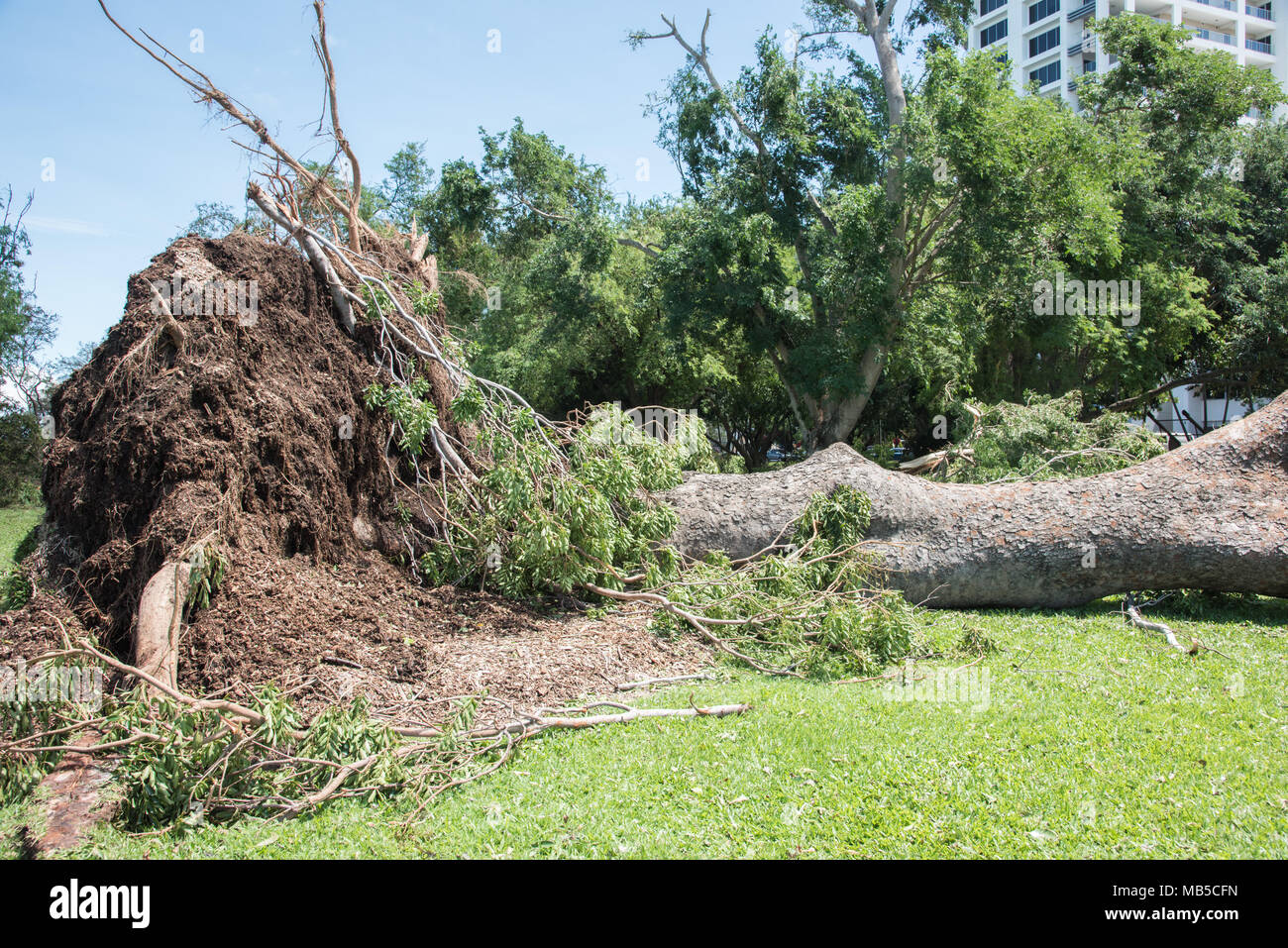 Destruction of darwin hi-res stock photography and images - Alamy