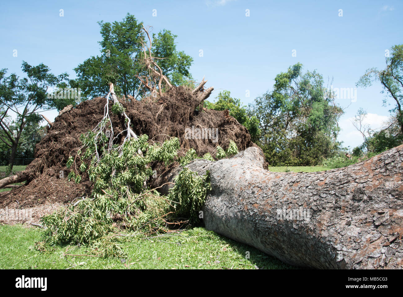 Hurricane damage perspective hi-res stock photography and images - Alamy