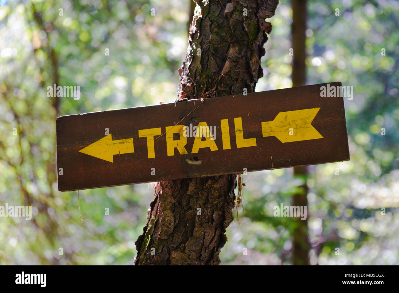 Directional sign nailed to a tree on a hiking trail in Upstate New York ...