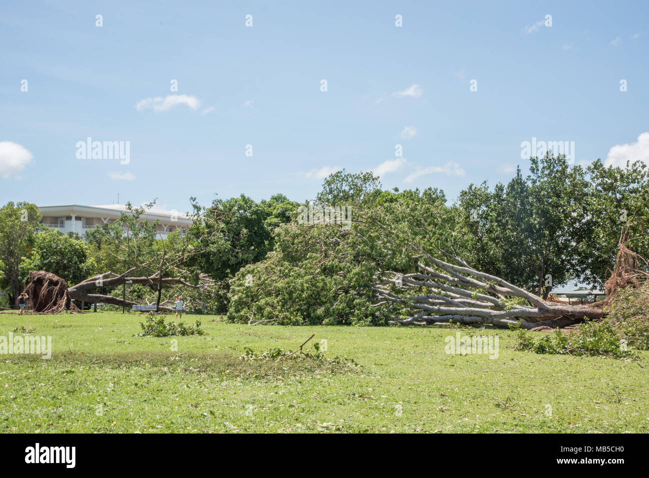 DARWIN,NT,AUSTRALIA-MARCH 18,2018: Cyclone damage with large uprooted ...