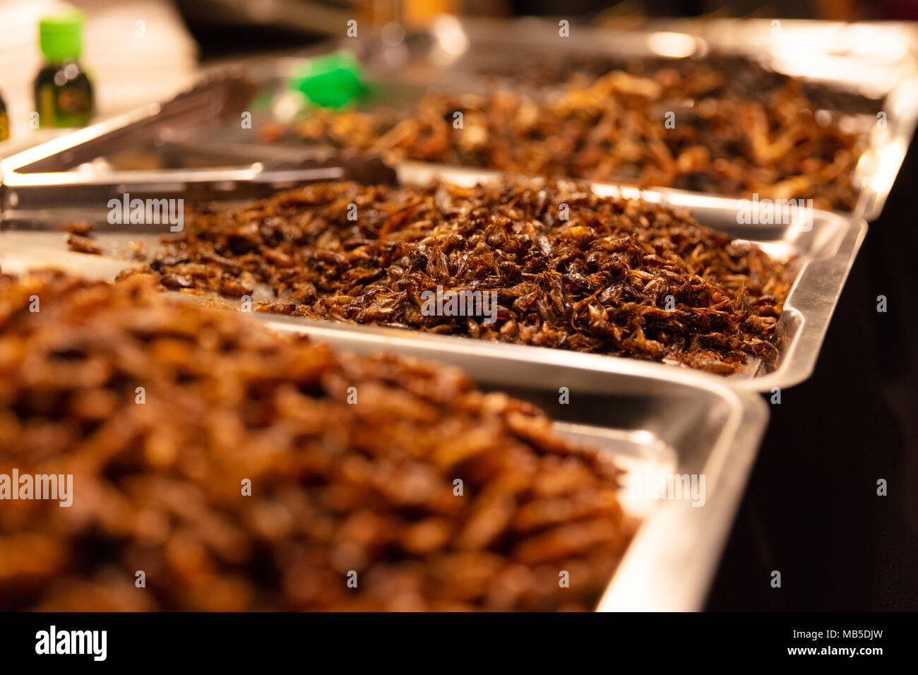 Cooked insects hi-res stock photography and images - Alamy