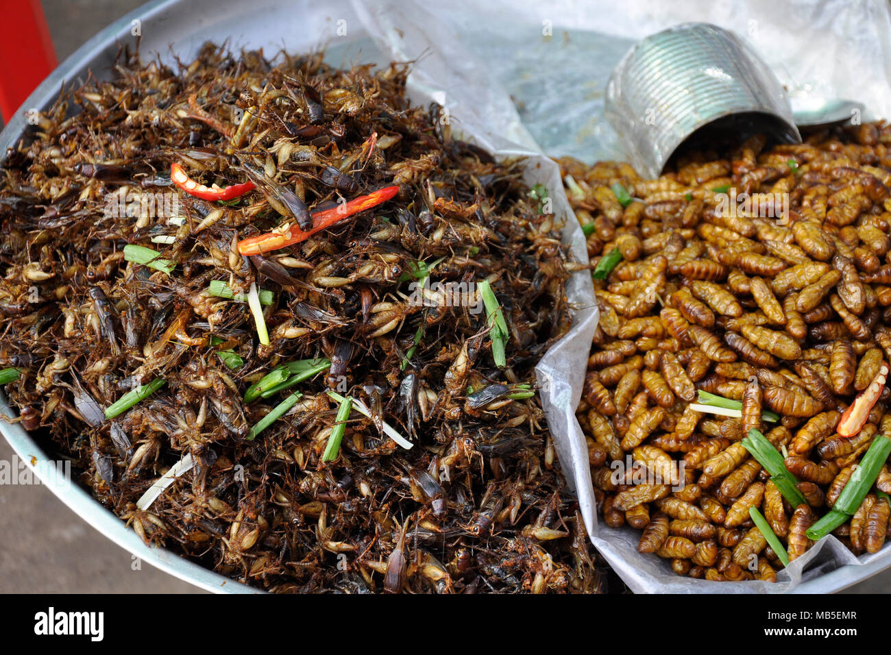 Cambodia, Phnom Penh, insect market Stock Photo - Alamy