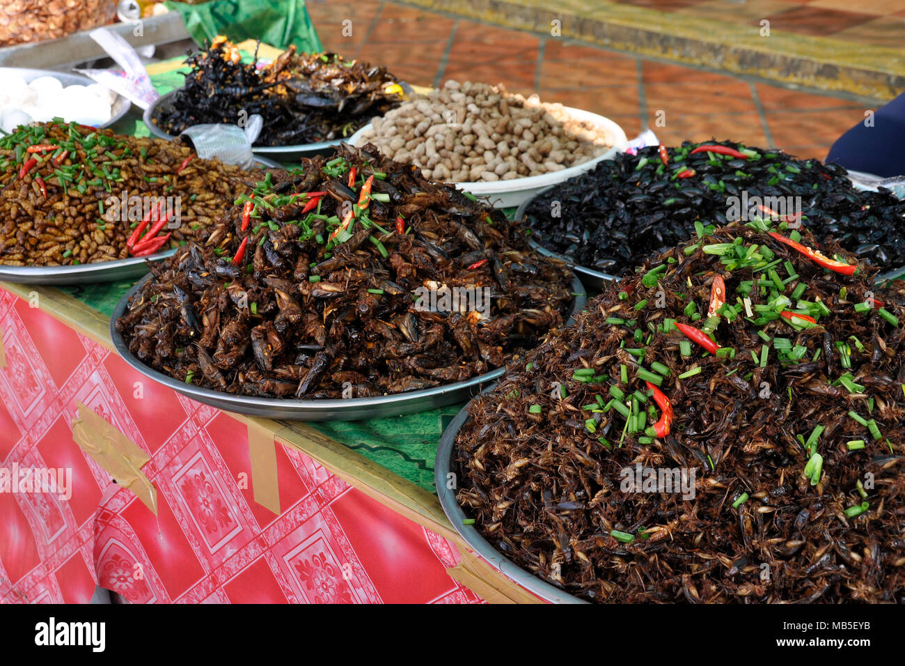 Cambodia, Phnom Penh, insect market Stock Photo - Alamy