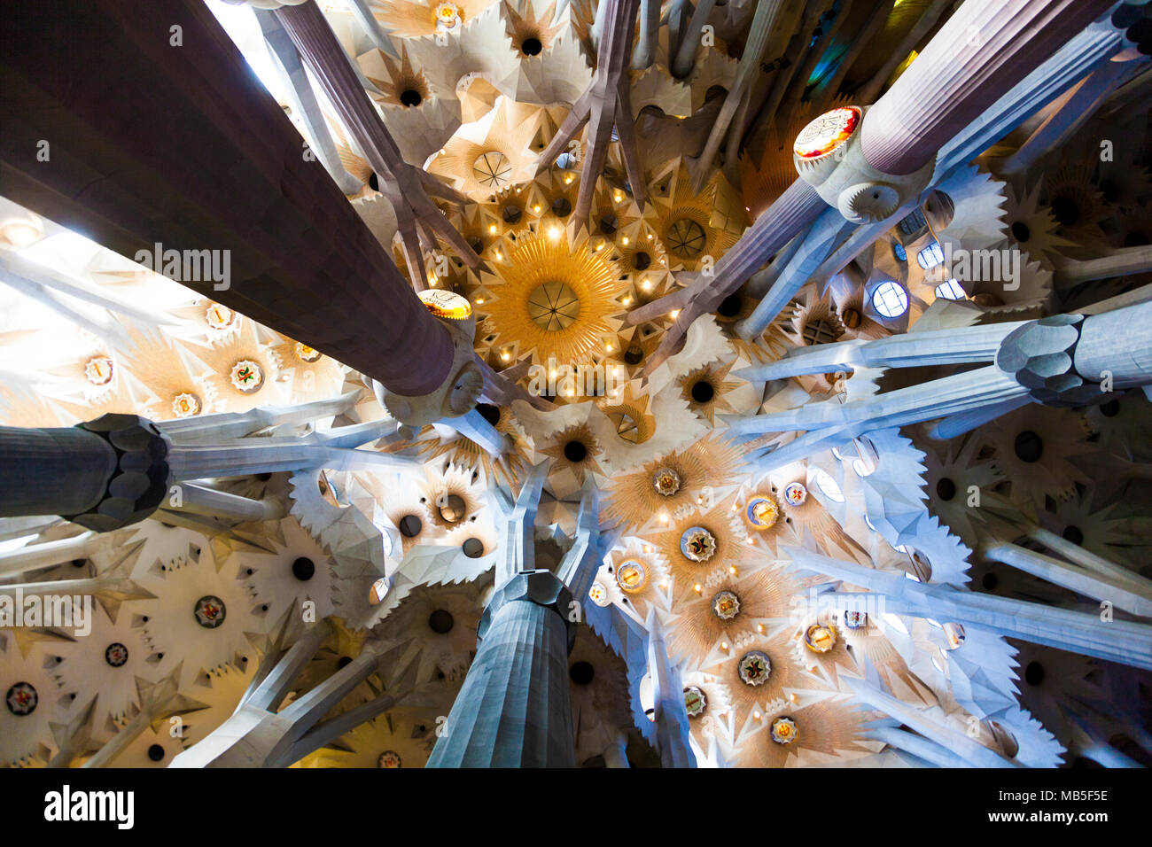 Ceiling - Interior of the Sagrada Familia Basilica by Antoni Gaudi in ...