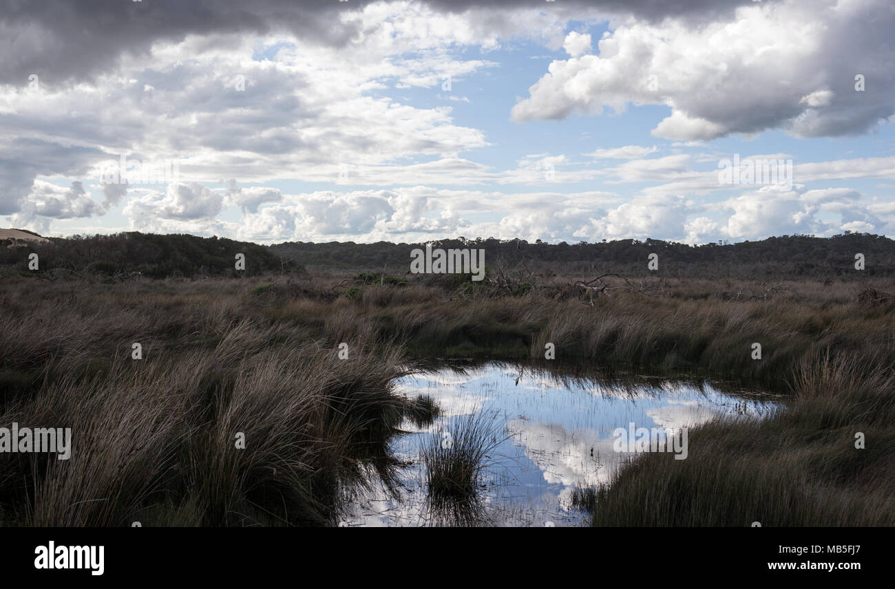 Cloudy sky reflected in an Australian marsh Stock Photo - Alamy
