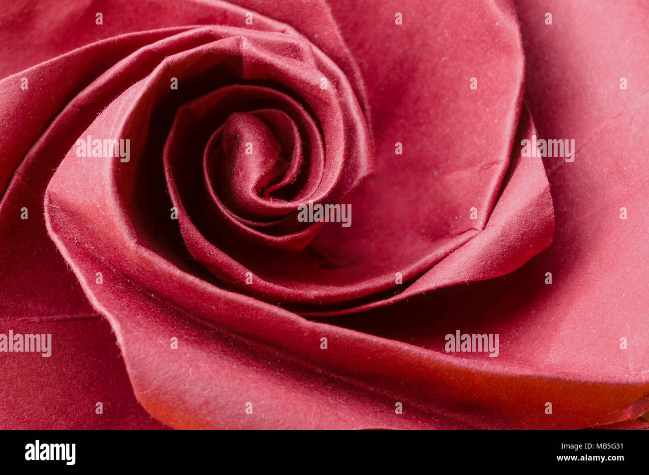 Realistic closeup up hi-res stock photography and images - Alamy