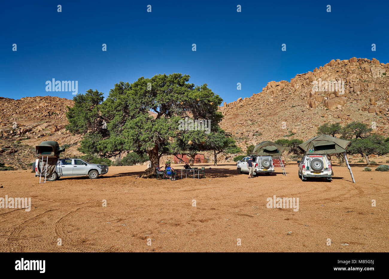 three cars of self-drive tourists camping under a tree in tranquil ...