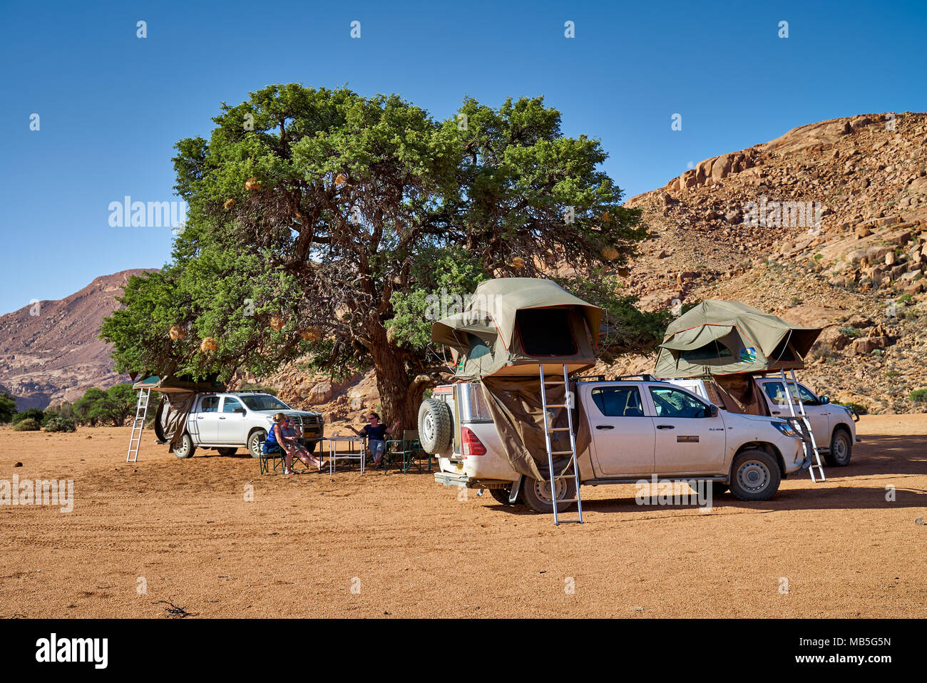 three cars of self-drive tourists camping under a tree in tranquil ...