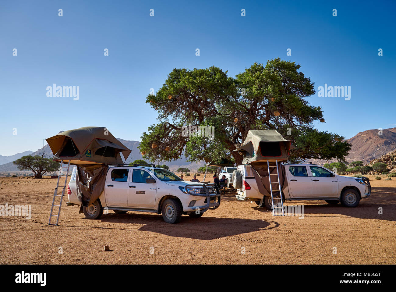 three cars of self-drive tourists camping under a tree in tranquil ...