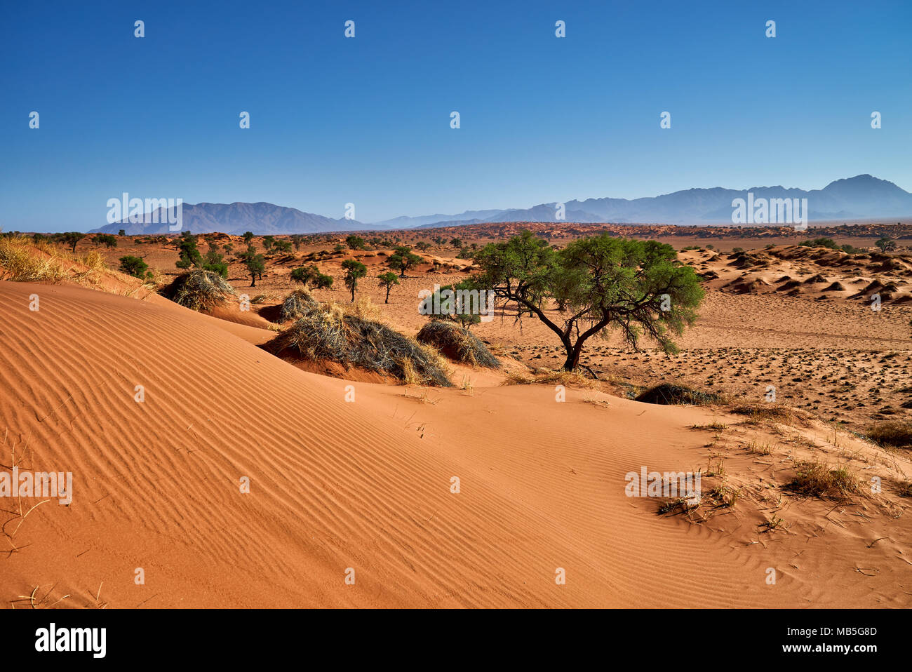 deserted landscape of NamibRand Nature Reserve, Namibia, Africa Stock ...