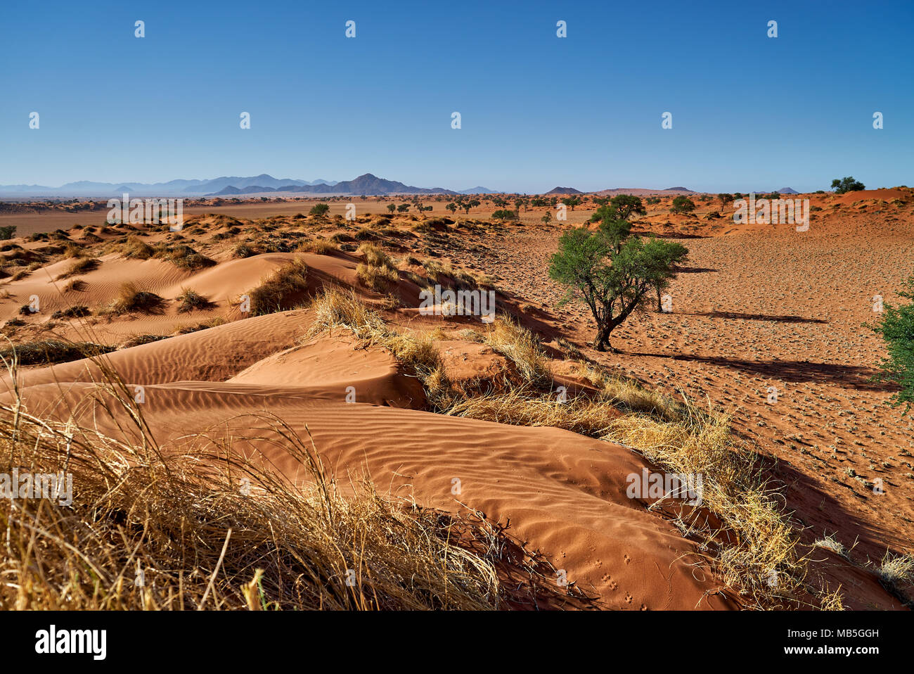 deserted landscape of NamibRand Nature Reserve, Namibia, Africa Stock ...