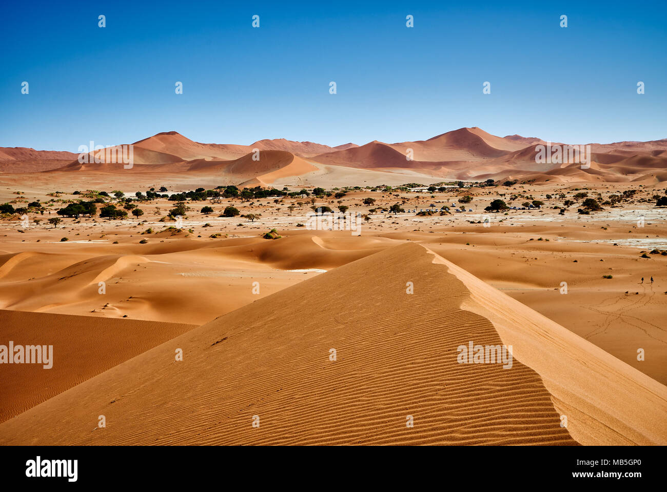 desert landscape of Namib at Sossusvlei, Namib-Naukluft National Park ...