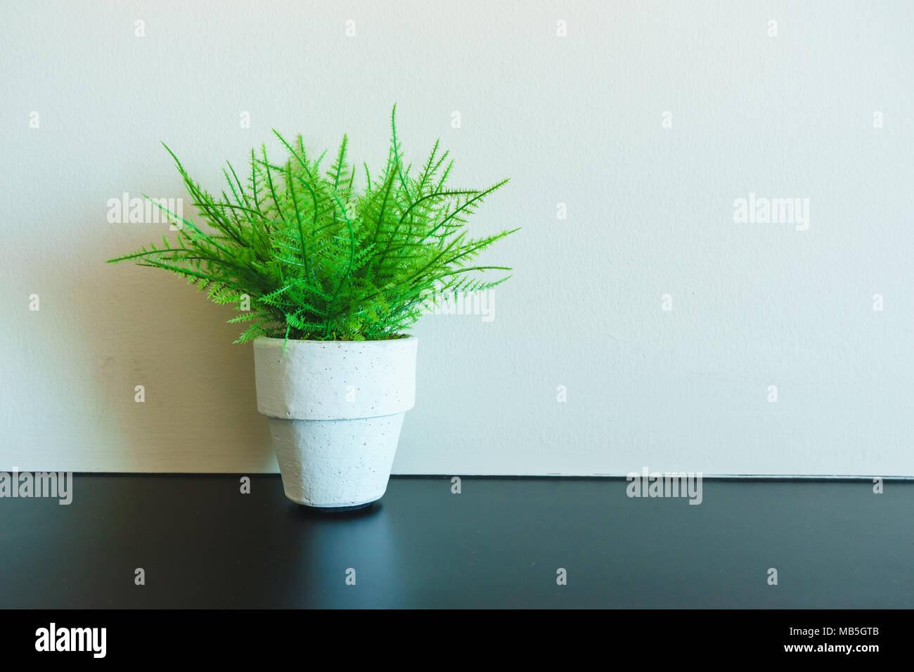 Mini tree hi-res stock photography and images - Alamy
