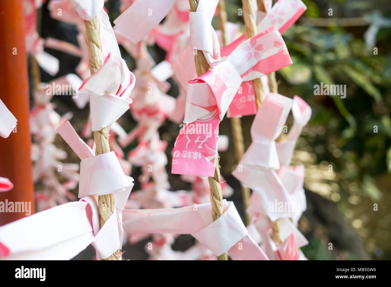 Japanese fortune slip hi-res stock photography and images - Alamy