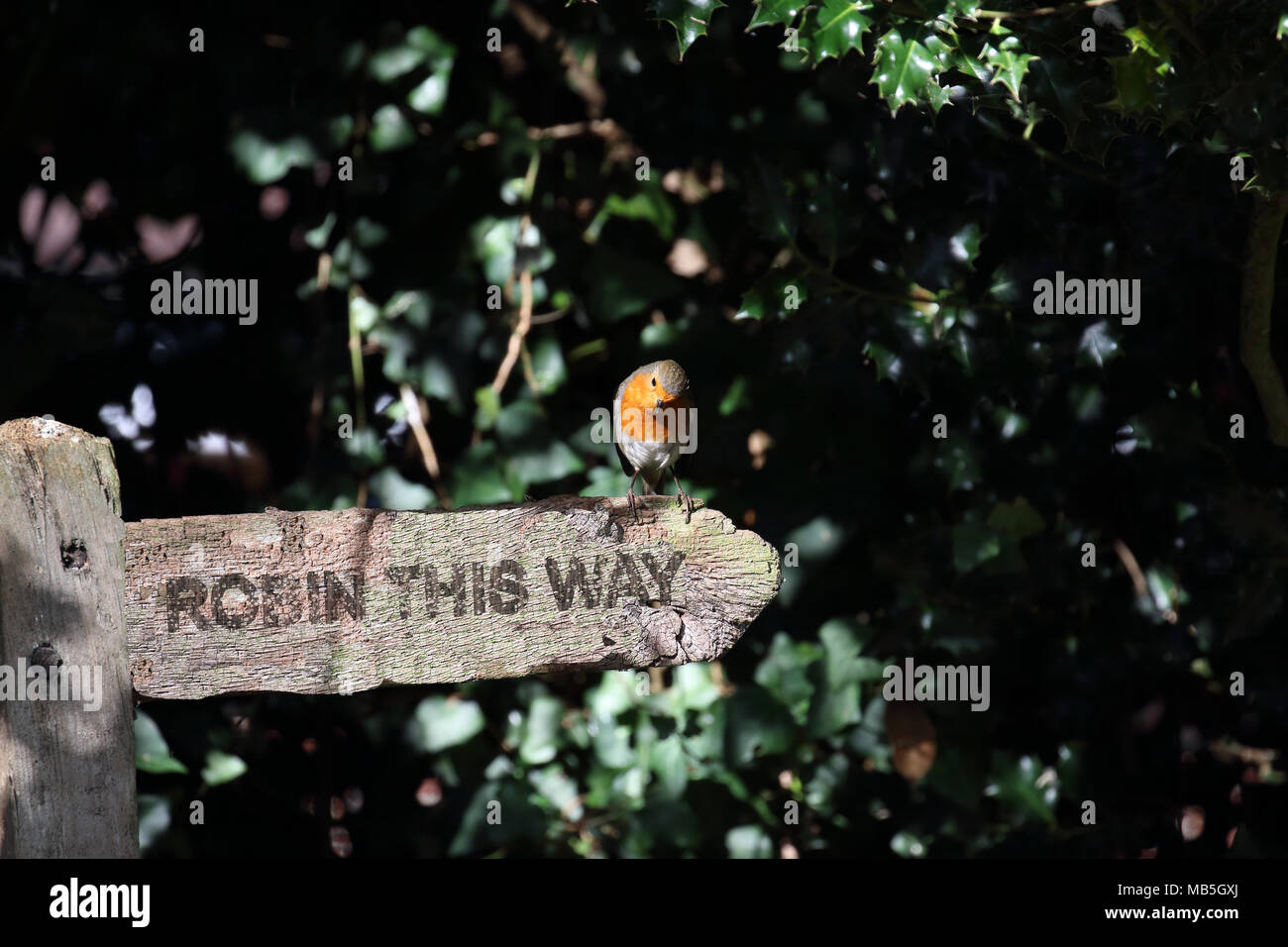 Rotten sign hi-res stock photography and images - Alamy