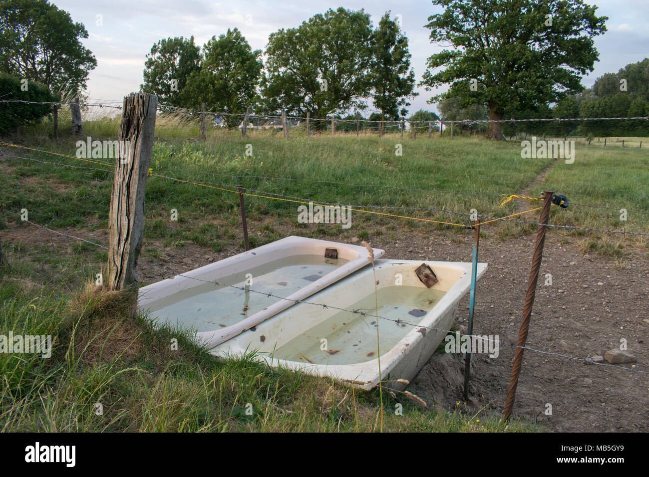 Pastoral pasture woods forest hi-res stock photography and images - Alamy