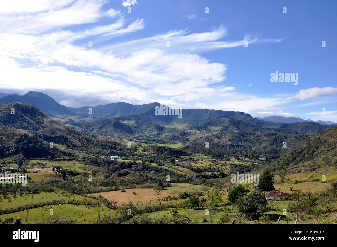 Silvia cauca hi-res stock photography and images - Alamy