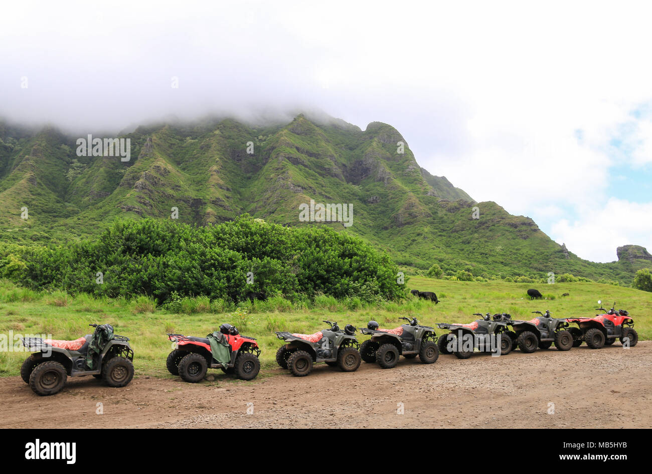 ATVs in a row at Kualoa Ranch, Hawaii Stock Photo - Alamy