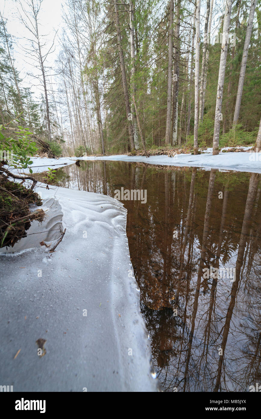 Partially frozen forest river Stock Photo - Alamy