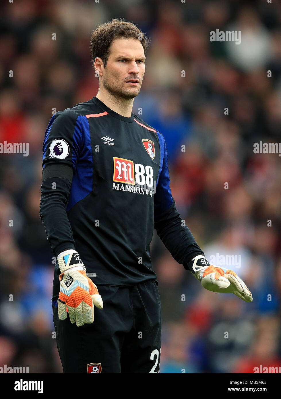 AFC Bournemouth goalkeeper Asmir Begovic during the Premier League ...