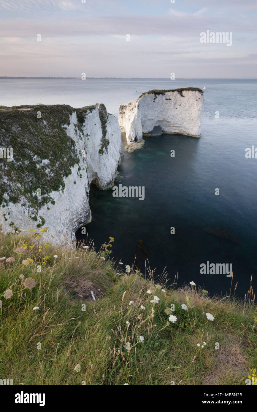 Studland beach isle purbeck uk hi-res stock photography and images - Alamy